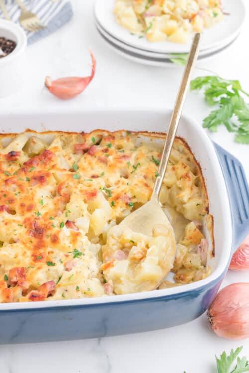 Cheesy Ham and Potato Casserole - My Organized Chaos