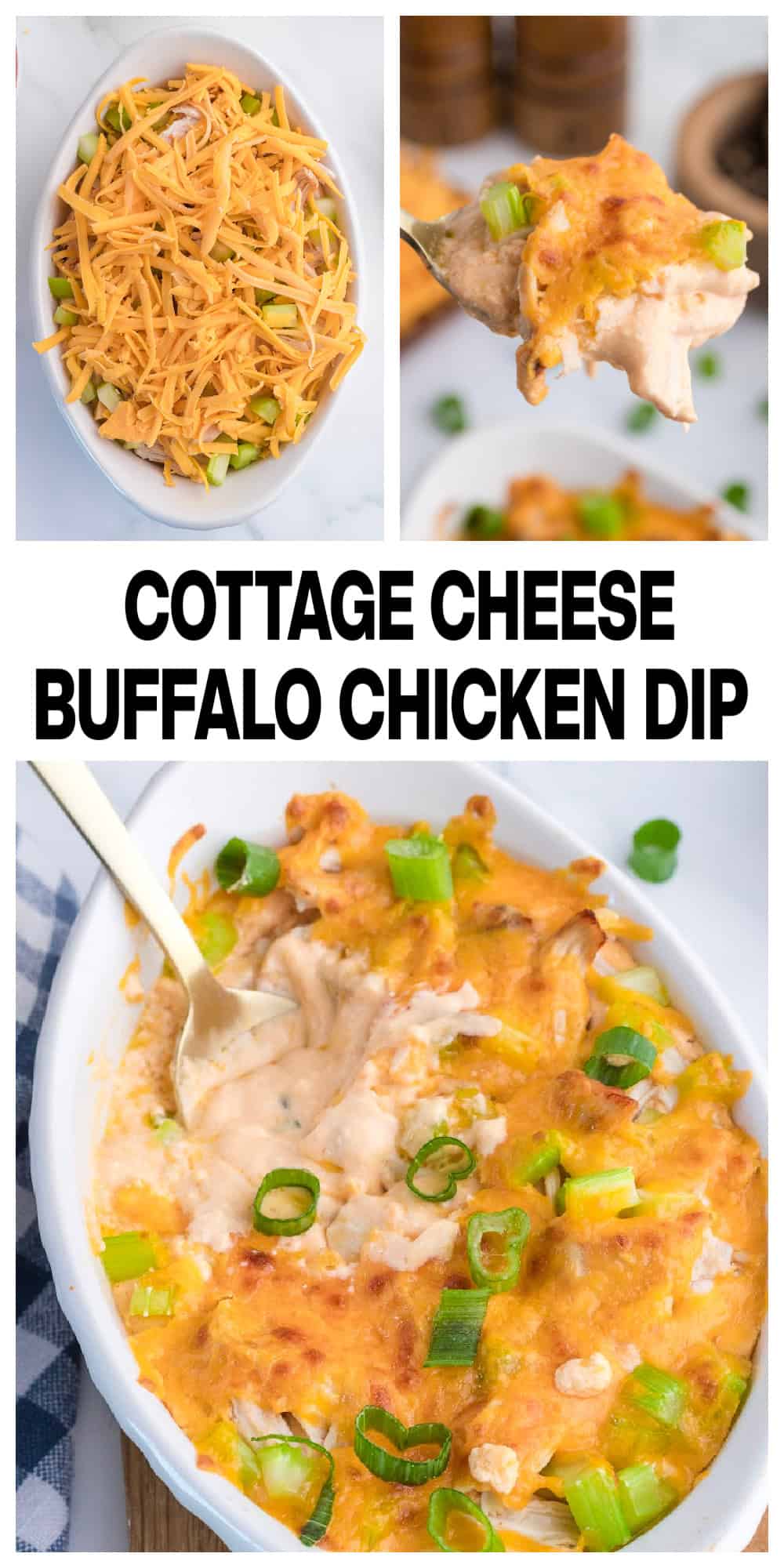 Cottage Cheese Buffalo Chicken Dip (High Protein) - My Organized Chaos